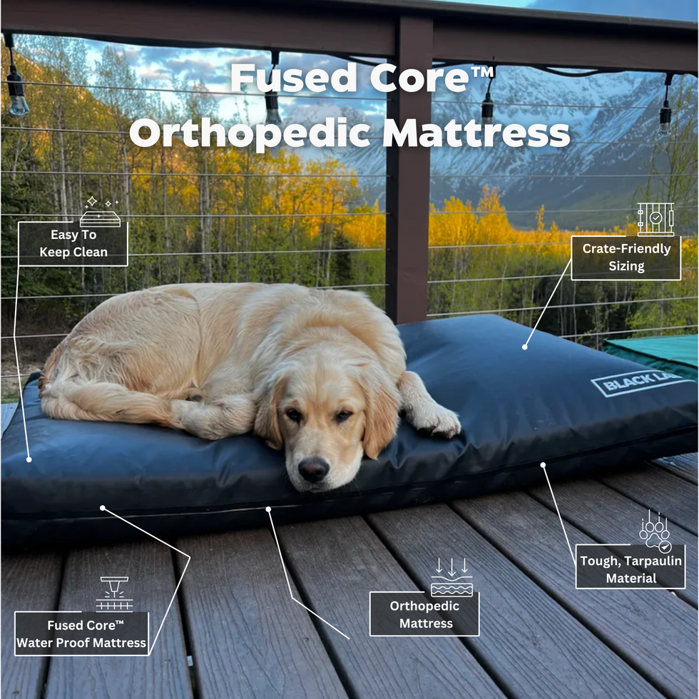 Fused Core™ Orthopedic Mattress | Black Lab Brands