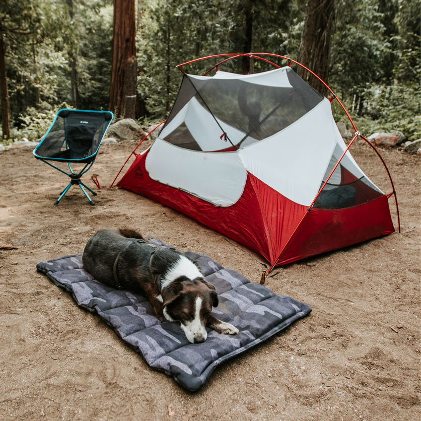 Tough Travel Dog Bed | Black Lab Brands