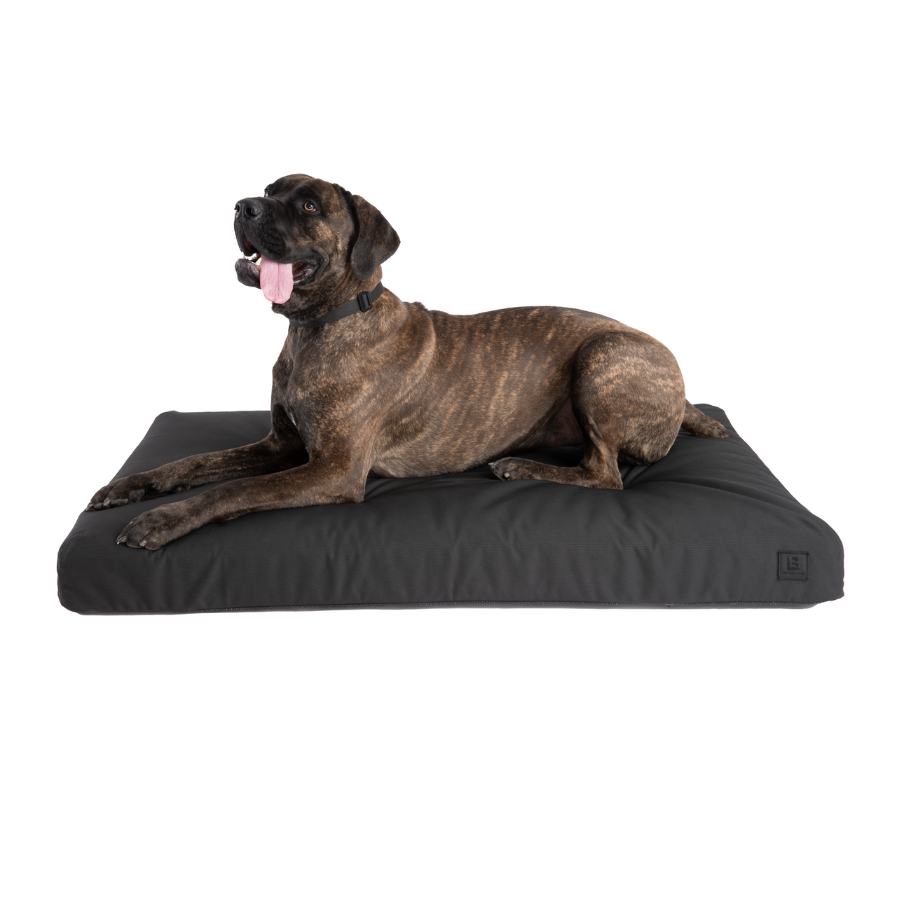 The Beast - UltraTough Orthopedic Dog Bed – Black Lab