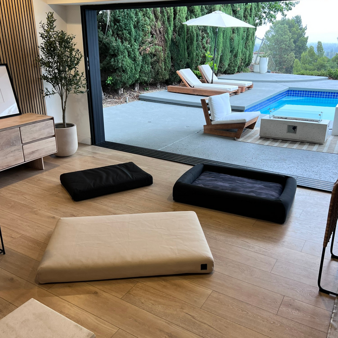 Waterproof / Fused Core Beds – Black Lab