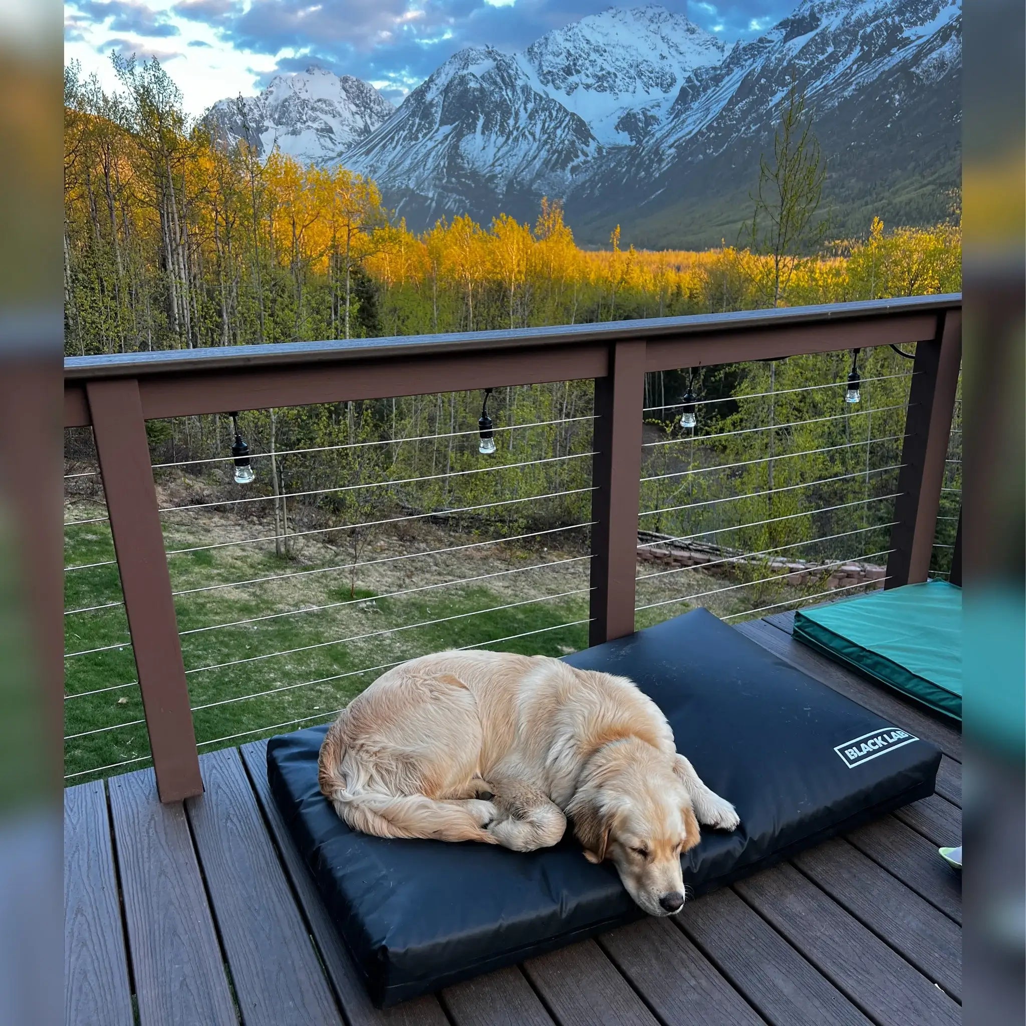 Fused Core™ Orthopedic Mattress | Black Lab Brands